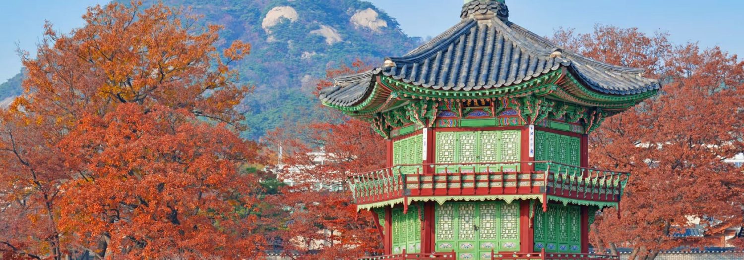 South Korea – KEI Abroad